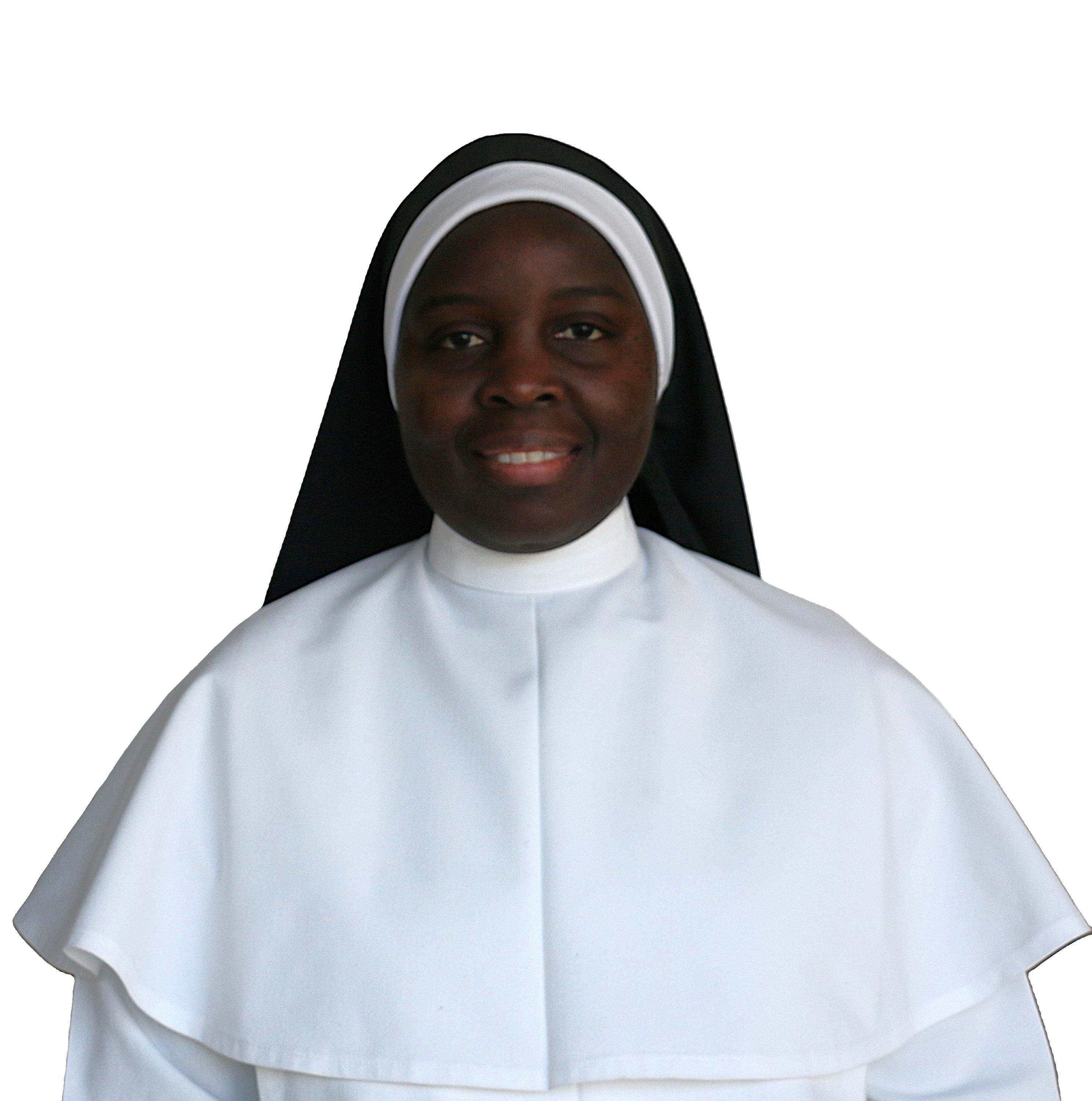 Category name Stepping Out in Faith Dominican Nuns IL | Dominican ...