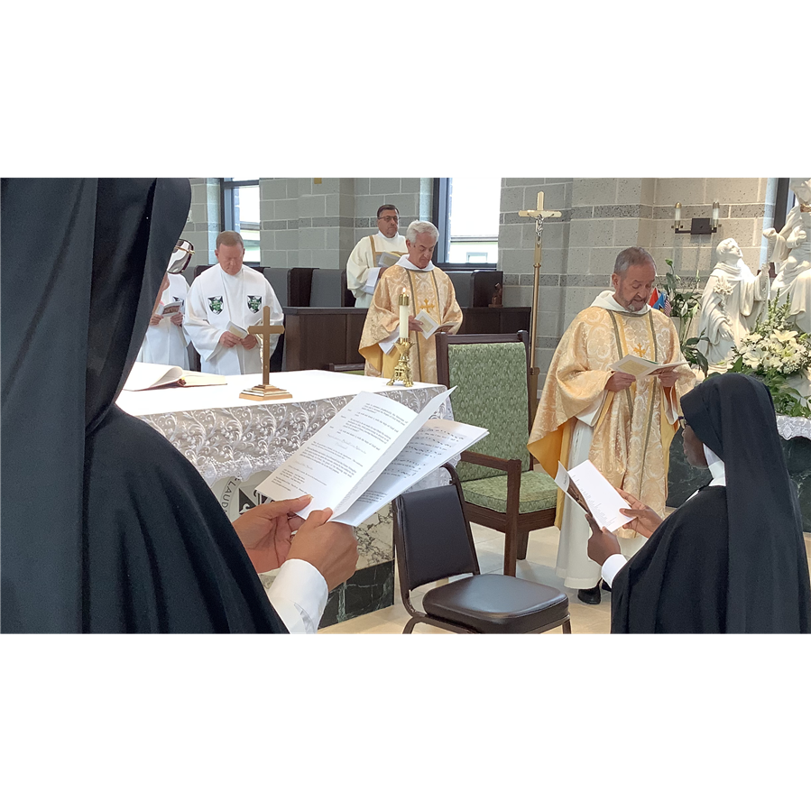 Category name Sister Cecilia Marie Solemn Profession Dominican Nuns IL ...
